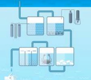 Industrial Applications of Reverse Osmosis (RO) Systems - Brother Filtration